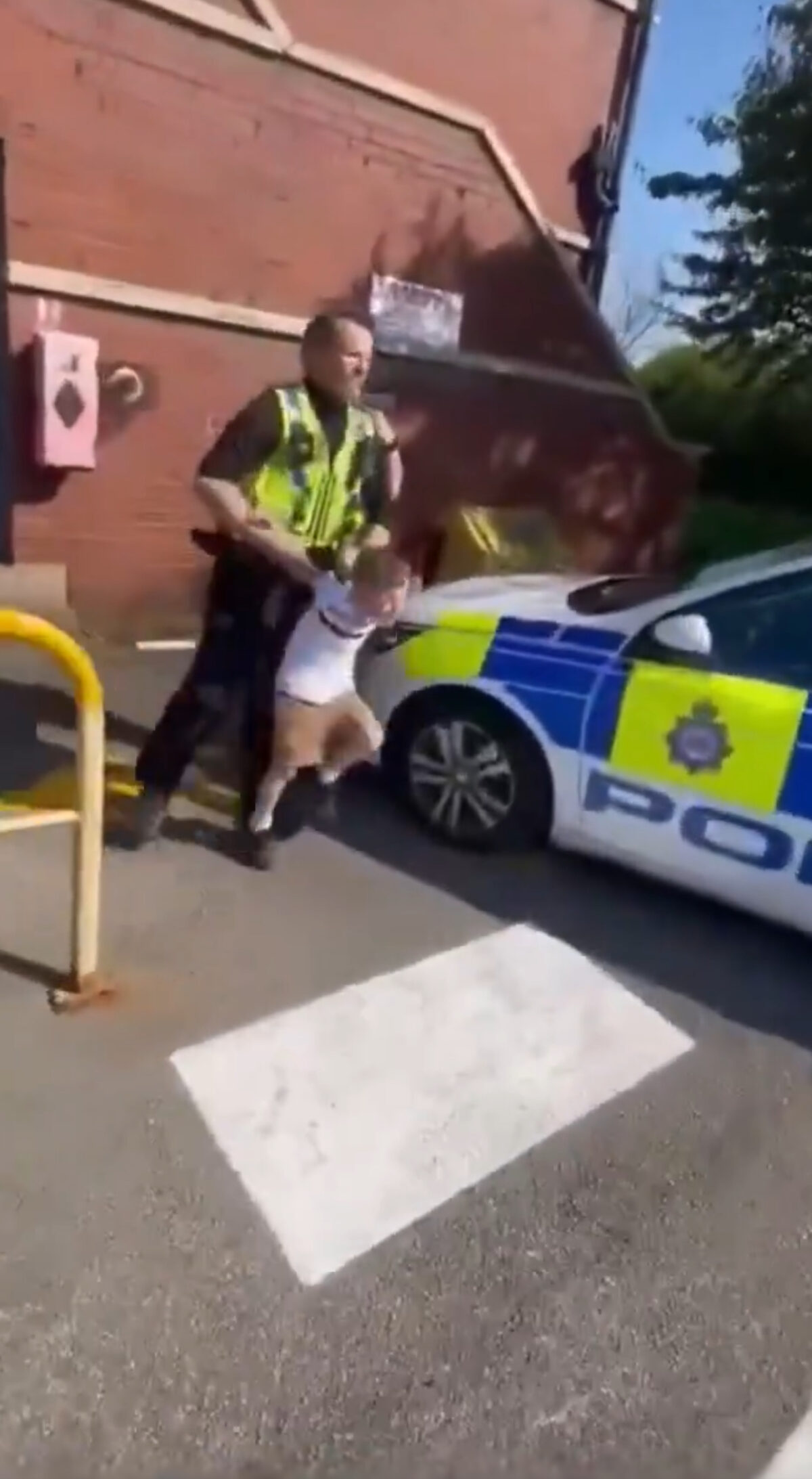 Video Shows Boy, 5, Restrained by British Police - Britannia Daily